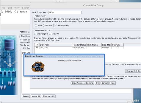 Oracleracdg搭建oracle Racdg环境搭建（centos 7oracle 12c） 十） 部署