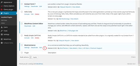 Woocommerce How To Use Plugin Shortcodes Template Monster Help