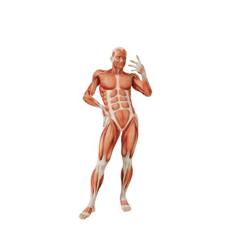 Fashion Unisex Poses Posemaniacs Royalty Free 3d Pose Reference For All Artists