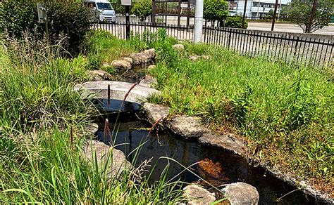 小野路下堤湧水公園 町田市公園探訪