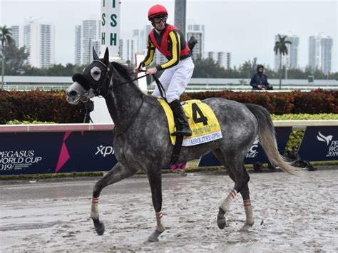【競馬】アエロリットは9着 ペガサスwcターフ 競馬ニュース Netkeiba