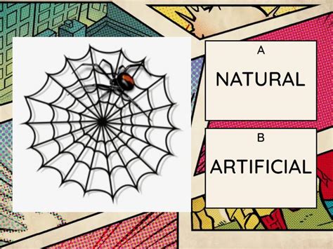 Natural And Artificial Structures Quiz