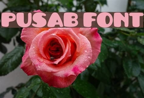 Pusab Font