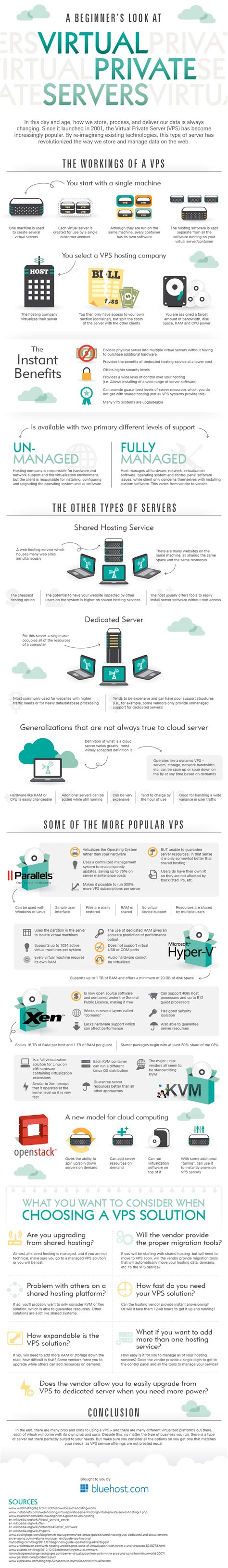 A Beginners Look At Virtual Private Servers Infographic