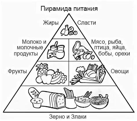 Правильное питание картинки раскраски для детей