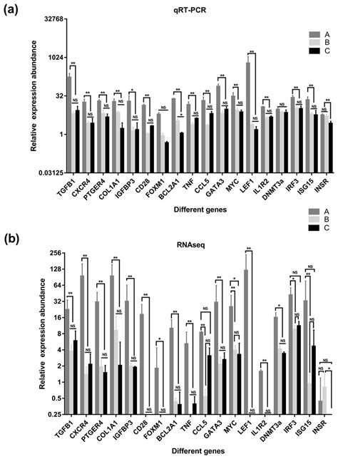 Transcriptome Analysis Reveals Potential Immune Function Related Regulatory Genes Pathways Of