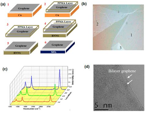 A Schematic Diagram Illustrating Graphene Transfer Procedure From