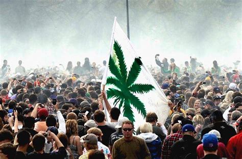 Faça sua parte 9 dicas para ajudar na legalização da maconha Maryjuana