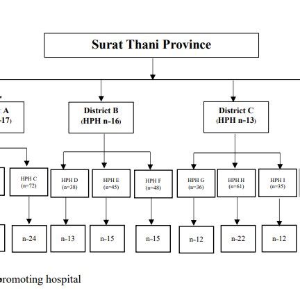Multi Stage Random Sampling Of This Study Download Scientific Diagram