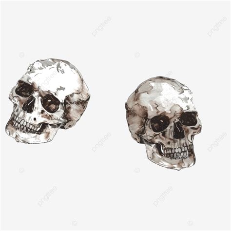 Hand Painted Skull Print Pattern Skull Printing Hand Painted Png