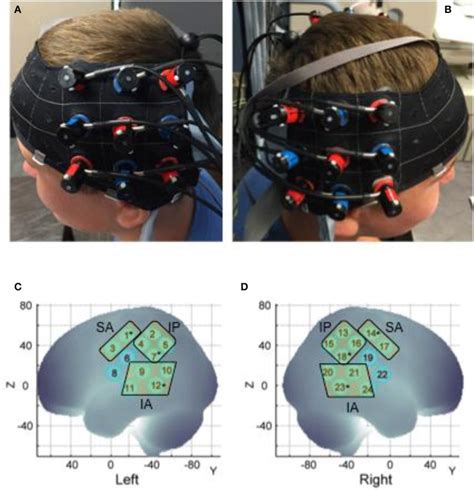 Cortical Activation During Action Observation Action Execution And Interpersonal Synchrony In