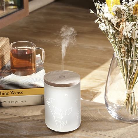 Diffusore Elettrico Aroma Con Dream Fior Di Loto Riccione
