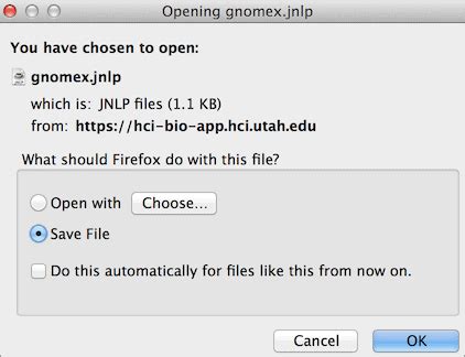 How To Open JNLP File On Windows 10 And MacOS