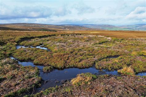 What Is Missing Scottish Peatland