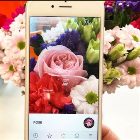 Flower Recognition Dataset Kaggle