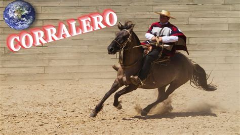 Top Beautiful Chilean Corralero Horse In The World Youtube