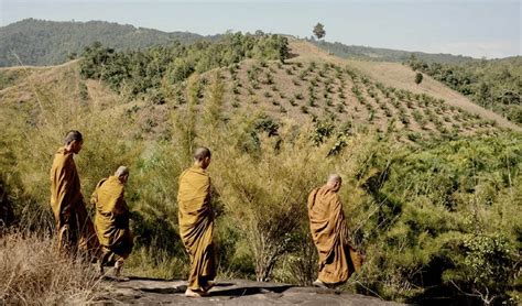 วัดป่าโสมพนัส สถานที่พัฒนาจิต เพื่อชีวิตที่ตื่นรู้ด้วยสัจธรรม