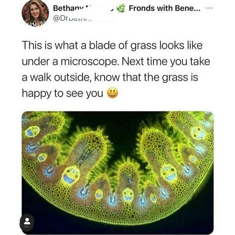50 Of The Most Heartwarming Posts Shared On The Wholesome Meets The