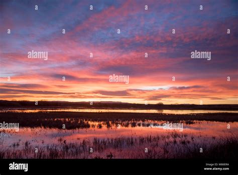 Dawn Over Bosque Del Apache National Wildlife Refuge New Mexico Usa