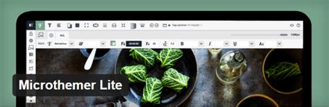 The Best Wordpress Css Editor Plugins For Live Editing