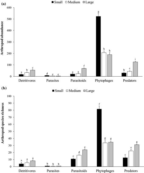 Diversity Patterns Of Arthropod Guild Composition Among Three Fragment