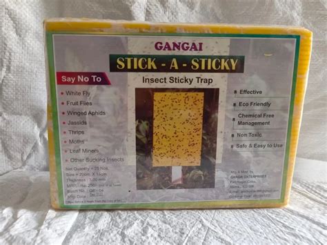Plastic Yellow Sticky Trap For Agriculture Size 6 X 8 Inch At ₹ 4