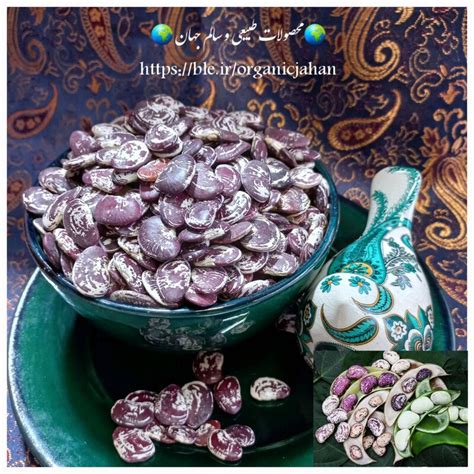 خرید و قیمت لوبیا عروس کریسمسکاهش کلسترول کم خونیکاهش قندخونمناسب