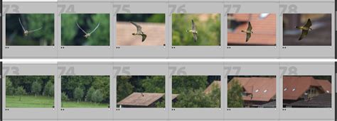 Wrong View In Library And Develop Module Lightroom Queen Forums