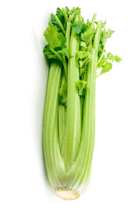 Celery Kg Rb Patel Group