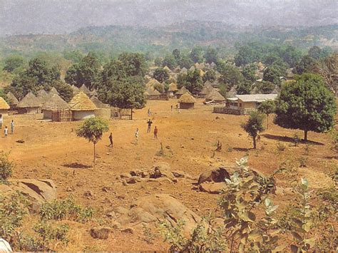 février Guinée Découverte