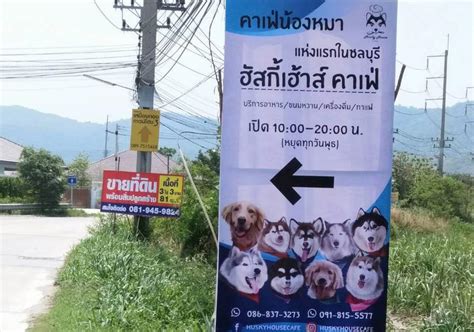 ป้ายไวนิล อิงค์เจ็ท Archives ชลบุรีอาร์ตมีเดีย