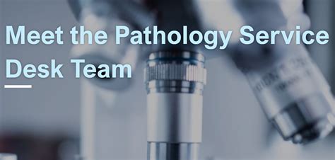 Haematinics Ferritin Folate B12 Esneft Pathology