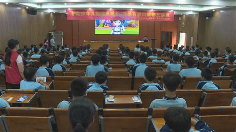 我县开展护苗2022绿书签行动宣传进校园活动 和平县人民政府门户网站