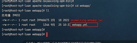 Skywalking