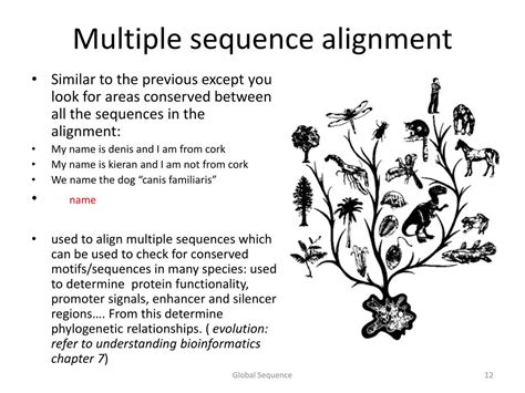 Ppt Sequencing A Genome And Basic Sequence Alignment Powerpoint