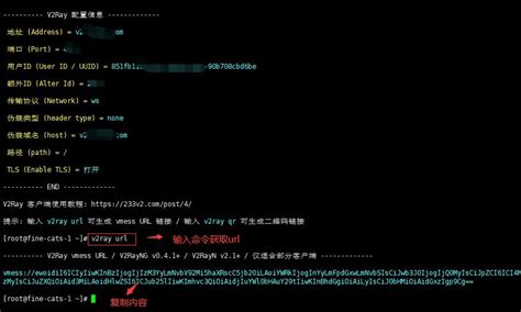一键搭建v2ray并配置vmess tls websocket详细图文教程 Ddmit
