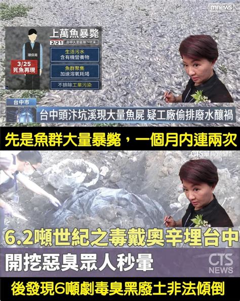 馬克斯 『有人還記得環團對藻礁的維護，對三接公投的嘴臉嗎？我是沒有忘啦！對有保護措施的三接氣急敗壞但從來不對真正危害環境的國民黨口出惡言有