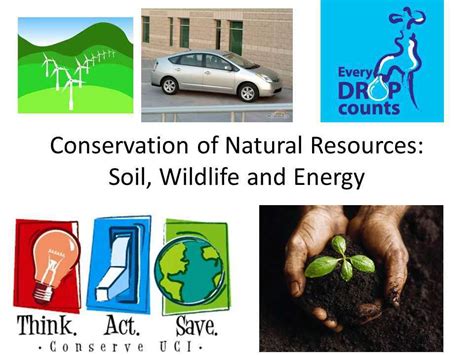 What Are Conservation Of Natural Resources At Brodie Kristy Blog