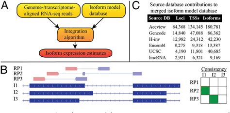 Figure 1 From Systematic Transcriptome Analysis Reveals Tumor Specific