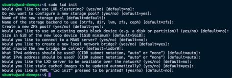 Install And Run Containers On Linux Virtual Machines Lxd Lxc