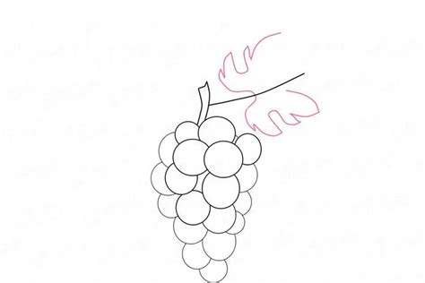 How To Draw Vines Easy Simple And Step By Step