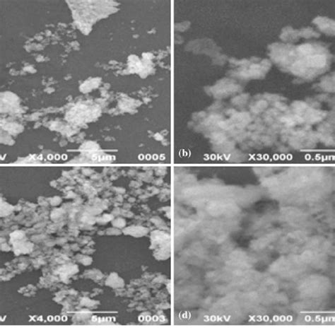 SEM Images Of ZnWO 4 A B And CdWO 4 C D Obtained By Decomposition