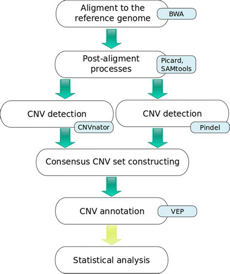 the workflow including cnv detection and annotation pipeline used in