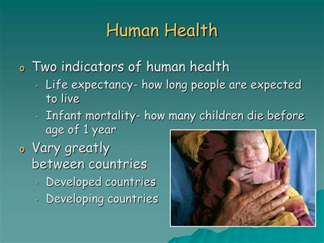 Ppt Chapter 7 Human Health And Environmental Toxicology Powerpoint