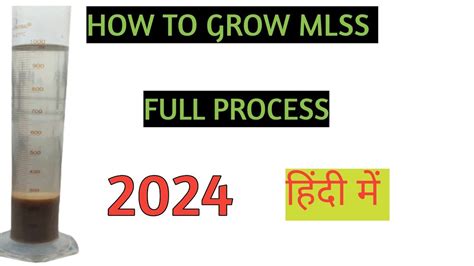 How To Grow Mlss Full Process 2024 Mlss Grow Karne Ka Process Hindi Me Paryawaranetptech07