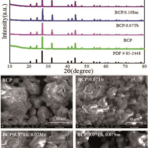 x ray diffraction patterns of bcp bcp 0 07tb bcp 0 10sm
