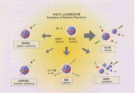 研究内容