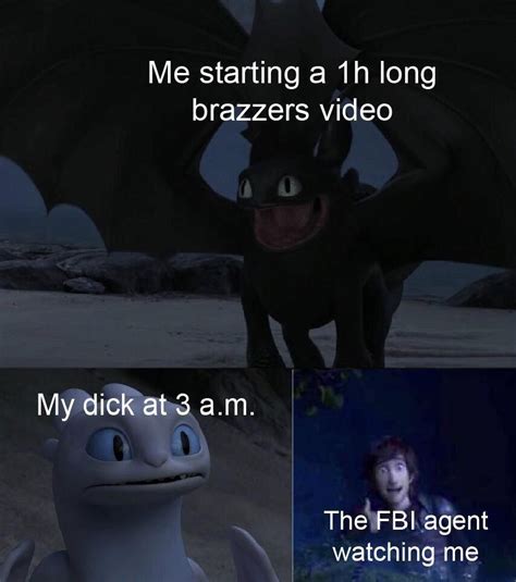 29 Funny Toothless Memes Thatll Help You Train Your Dragon How Train