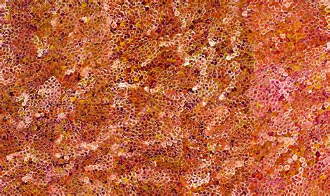 Lot Bessie Pitjara Australia Aboriginal C1960 Bush Plum