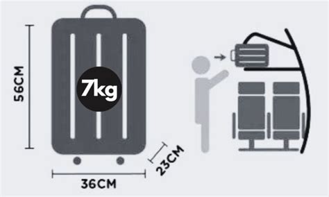 Philippine Airlines Baggage Allowance 2024 Policy And Fees